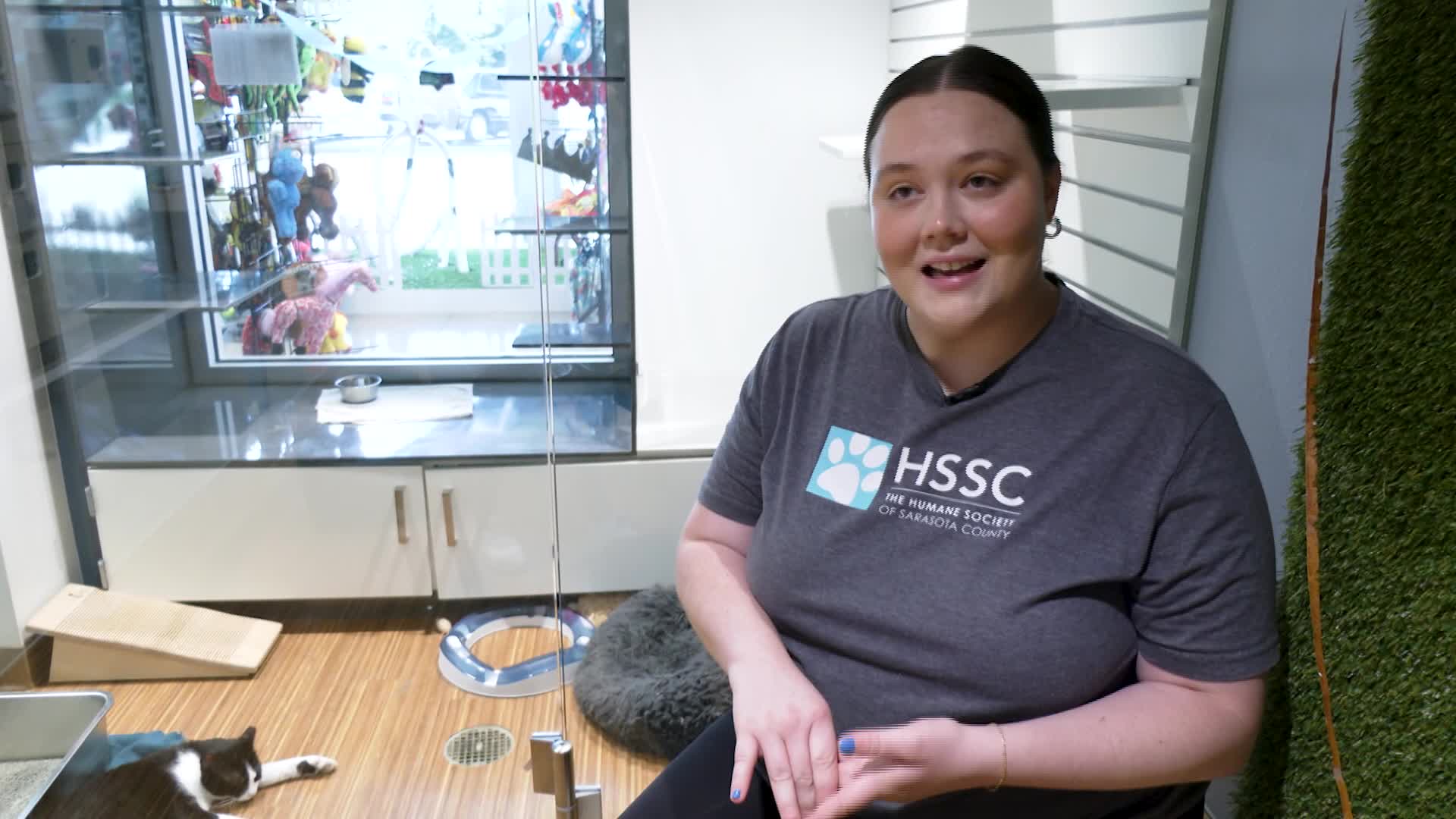 Charlie’s Choice: Rizzo the polydactyl cat needs a home! – SNN News